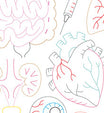 VITAL ORGANS Iron-on Embroidery Patterns – Sublime Stitching